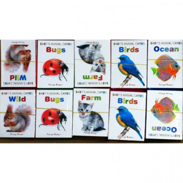 Children early age learning card (set of 5) | PGMall
