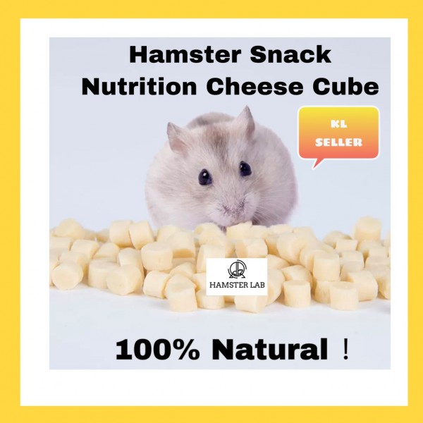 150g Per Canned Nutrition Cheese Cube Hamster Snack Food Treat Small ...