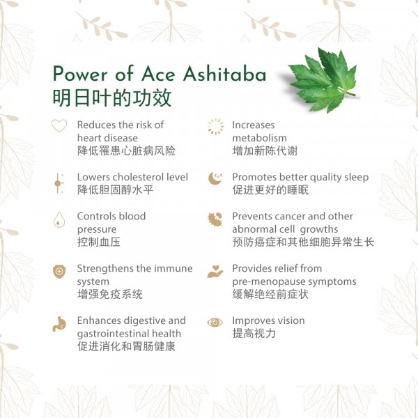 Ace Ashitaba Capsule (90 Caps) Chalcone Immune System Cancer Sleep Heart Disease Metabolism Gout ...