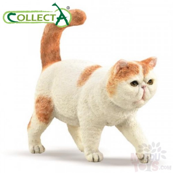 Exotic Shorthair Cat - Collecta 88937 Farm Cat Animal Action Figure ...