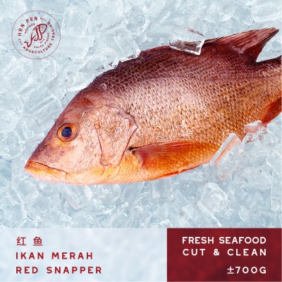 [Delivery applicable for purchases above RM50] Red Snapper 红 鱼 IKAN ...